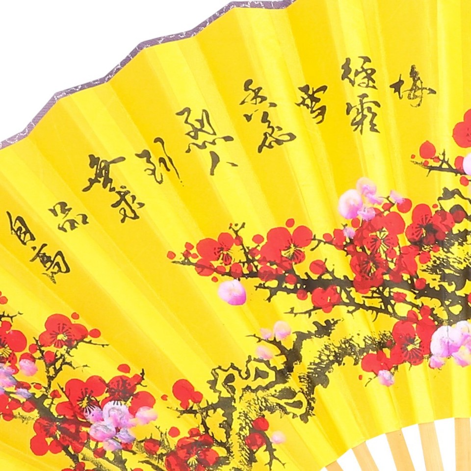 Decorative Chinese Folding Fan Paper Bamboo Lightweight Fan for Kids ...