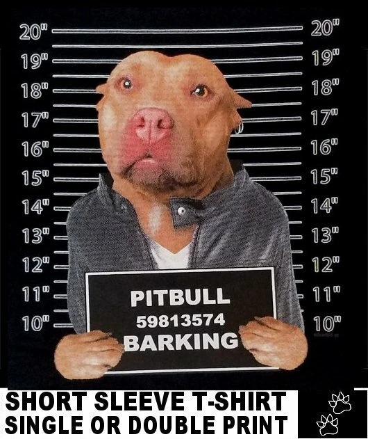 Funny Pitbull Memes