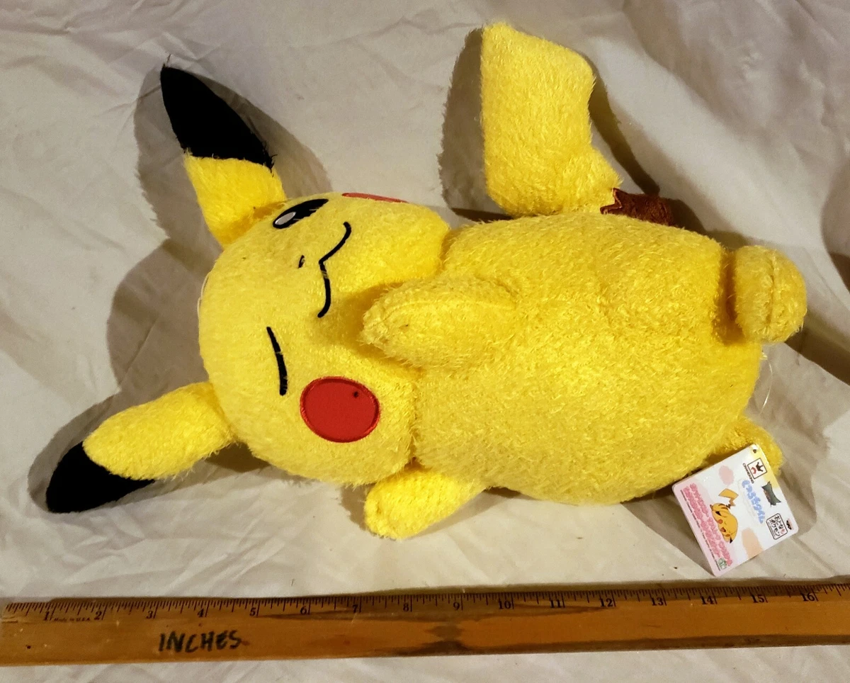 Fluffy Pikachu