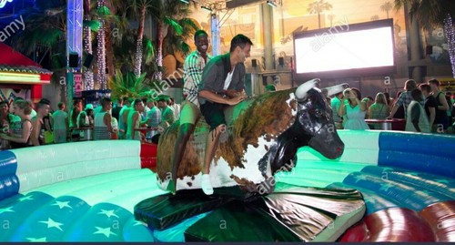 Rodeo bull ride hire bucking bronco hire rodeo reindeer xmas pudding ...