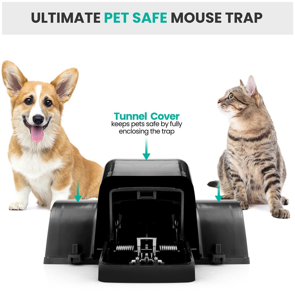eXuby Pet-Safe Mouse Trap - Tunnel Design, Dual Entry for Better Catch ...