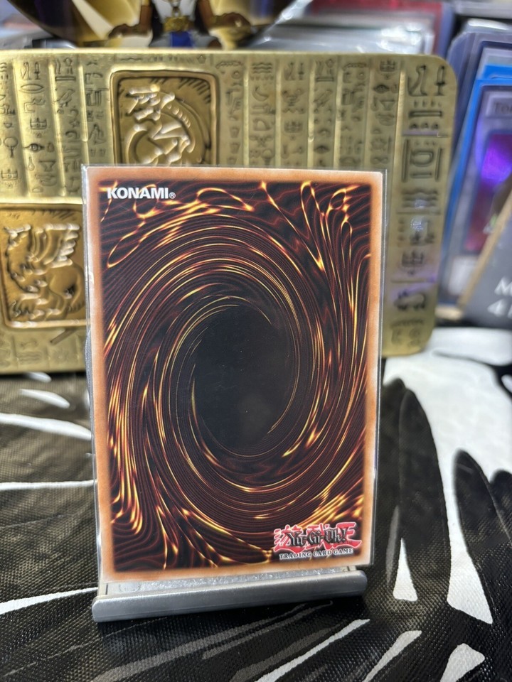Yu-Gi-Oh! Spiritual Beast Tamer Winda Unlimited RATE-EN026 Rare NM/LP ...
