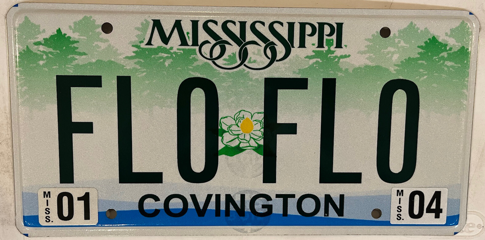 Vanity FLO FLO FLORENCE license plate Flora Florentina Florian Florida ...