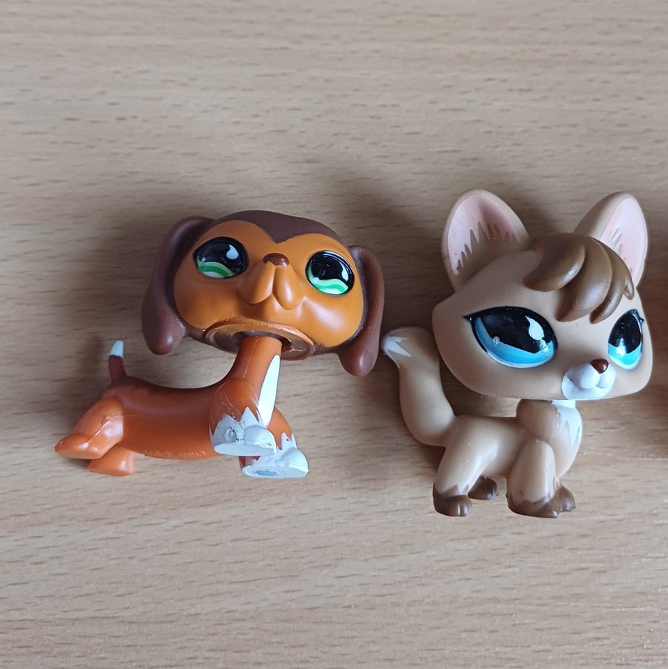 Lps Littlest Petshop Racing Set Dachshund Savannah Reed Savvy #675 ...
