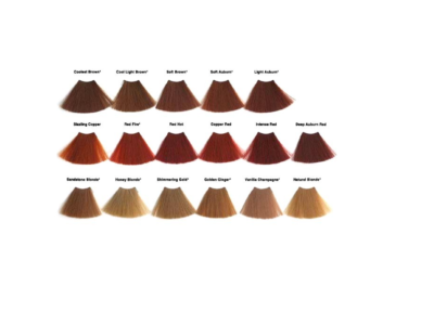 Loreal Hicolor Chart Richesse Hair Color Chart, Instructions,