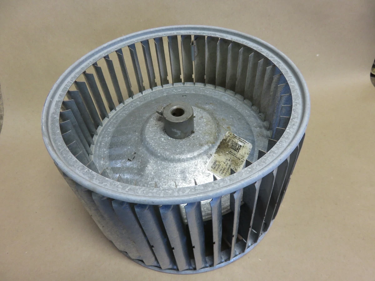 Furnace Squirrel Cage