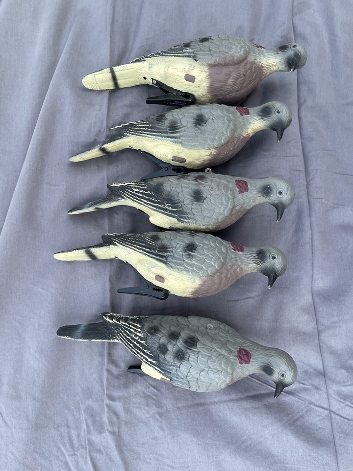 Vintage Expedite International Inc. Dove Decoy x5 Realistic Clip On | eBay