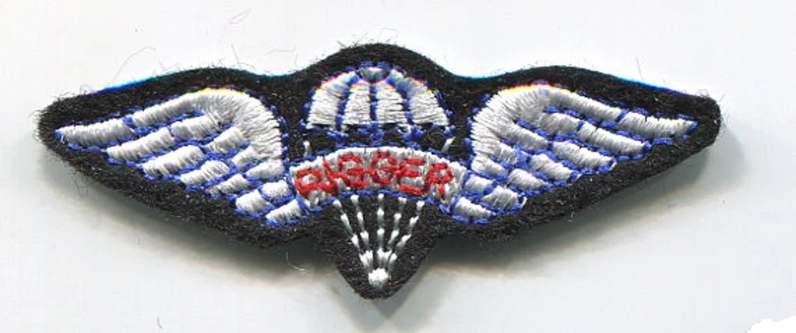 Air Force Parachute Rigger Badge Online | emergencydentistry.com