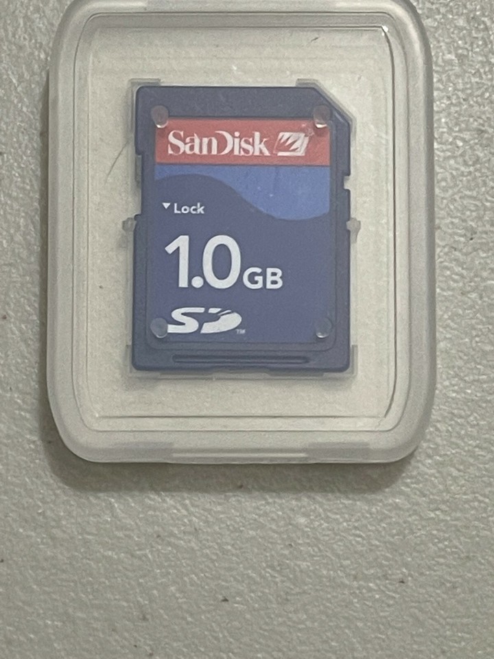 Sandisk Secure Digital SD Memory Card fo Cameras PDA GPS POS Scan 128 ...