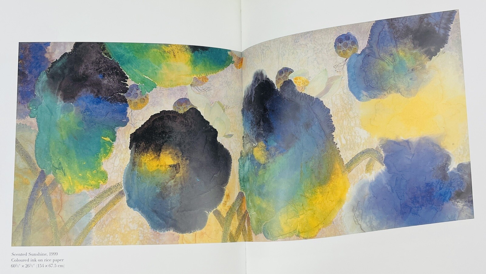 Vintage 1999 RARE The Paintings of Yang Yanping Exhibition Catalog ...