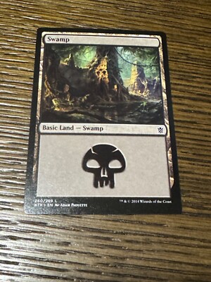 Swamp - Basic Land Magic Card 260/269 - NM - FREE SHIPPING | eBay