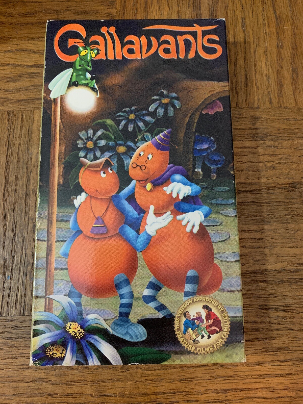Gallavants VHS | eBay