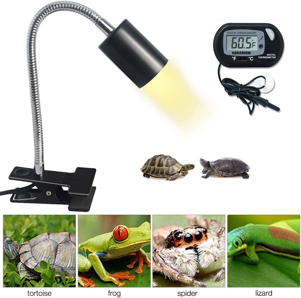 Lampada Termica UVA per Rettili e Tartarughe con Termometro e 3 Lampadine 50 W | eBay