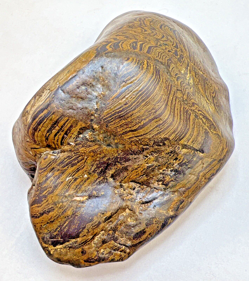 * WYOMING Banded Iron Formation Tiger Ironstone GENESIS SEER STONE ...