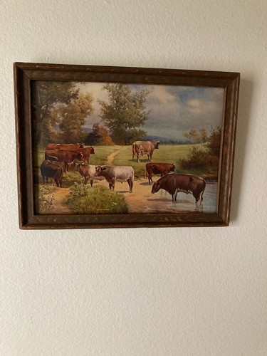 R. Atkinson Fox SHORT HORNS - cow print - 7-1/2" x 10" | eBay