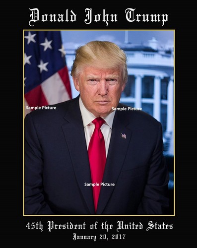Official Picture of President Donald Trump 45th - Photo Semi Glossy ...