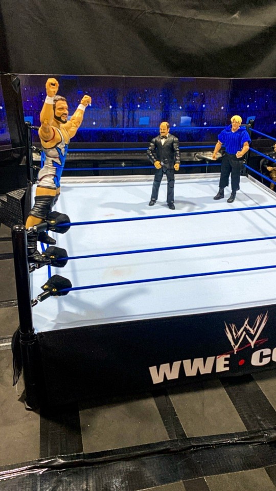 WWE Elite Custom Charlie Haas Figure Hand Painted & Fully Sealed | eBay