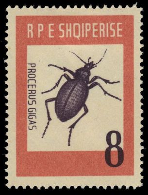 ALBANIA 662 (Mi737) - Ground Beetle "Procereus gigas" (pf61417) | eBay