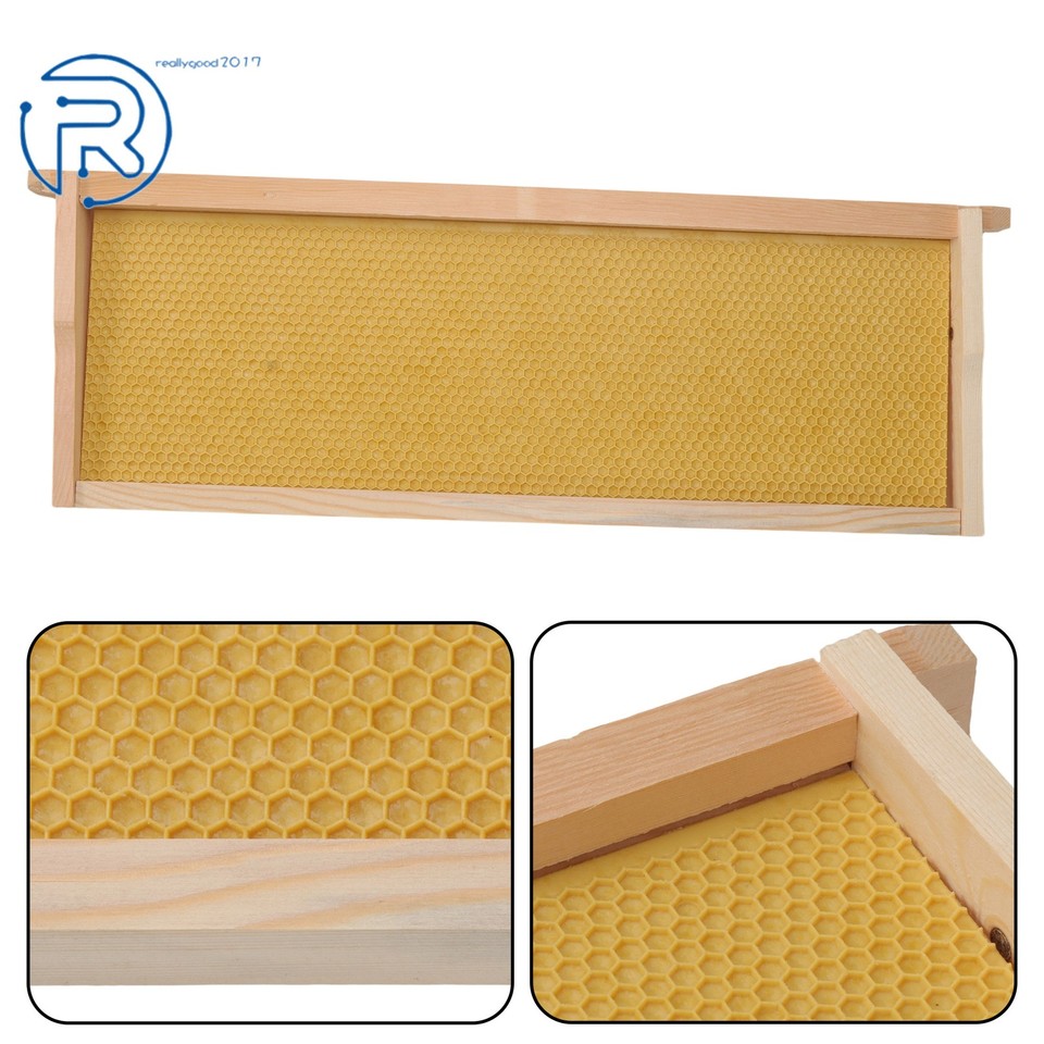 Bee Hives Medium Box Beeswax Coated W/ Frames and Foundation 10 Frame ...