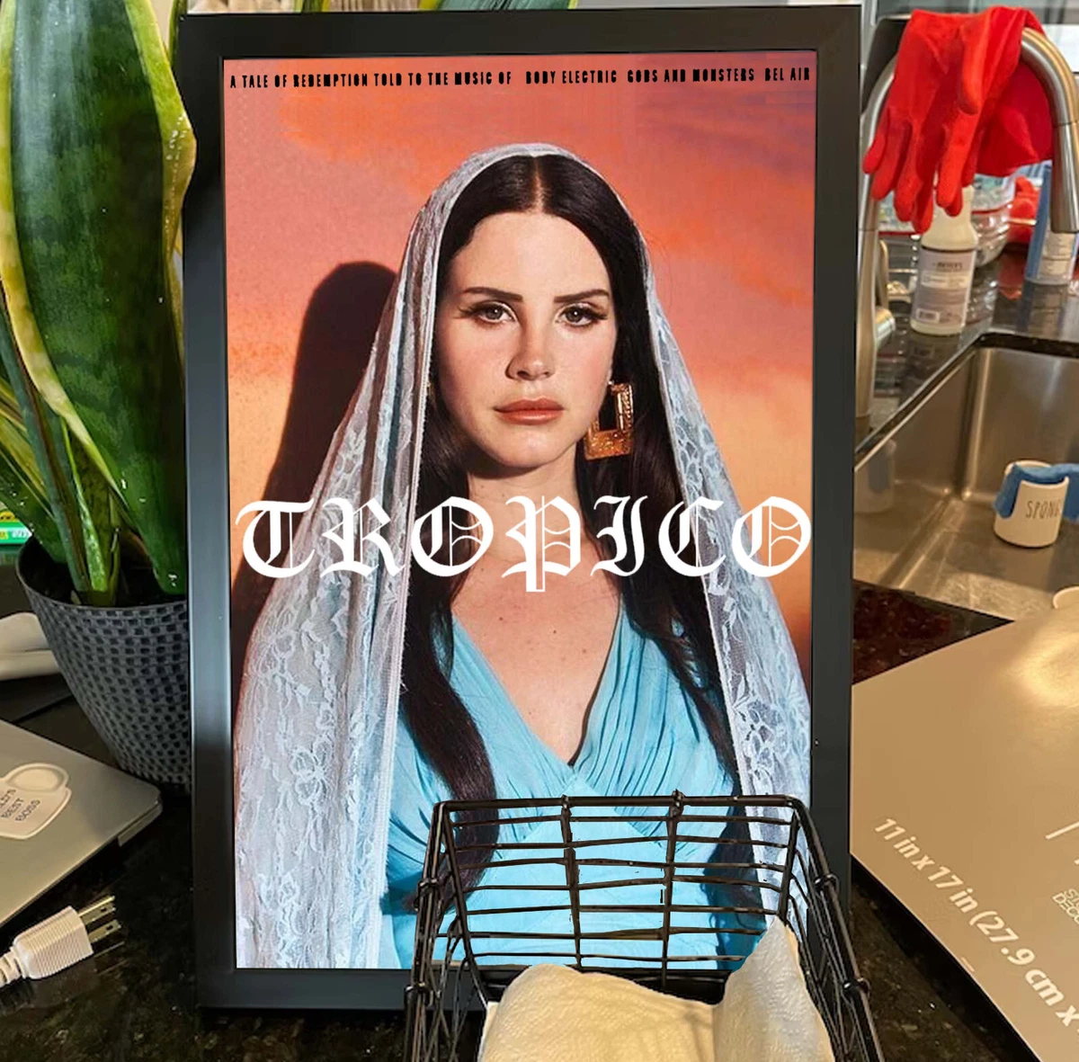 Lana Del Rey Tropico Virgin Mary