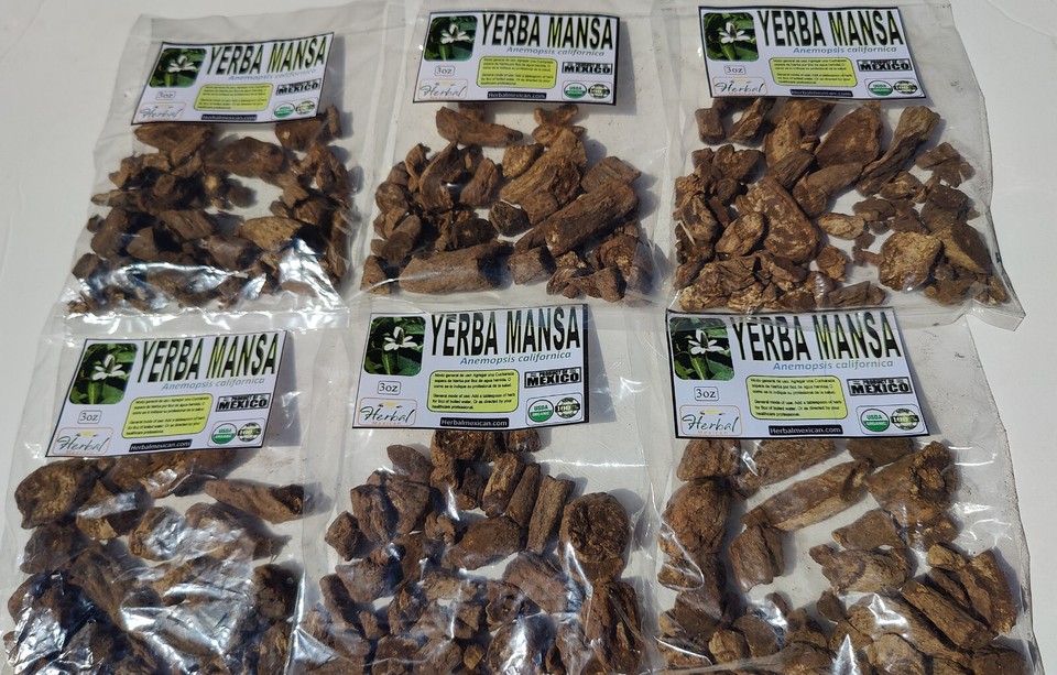 Yerba Mansa/manza/manso ,mansa root,Hierba del manzo raiz,Anemopsis ...