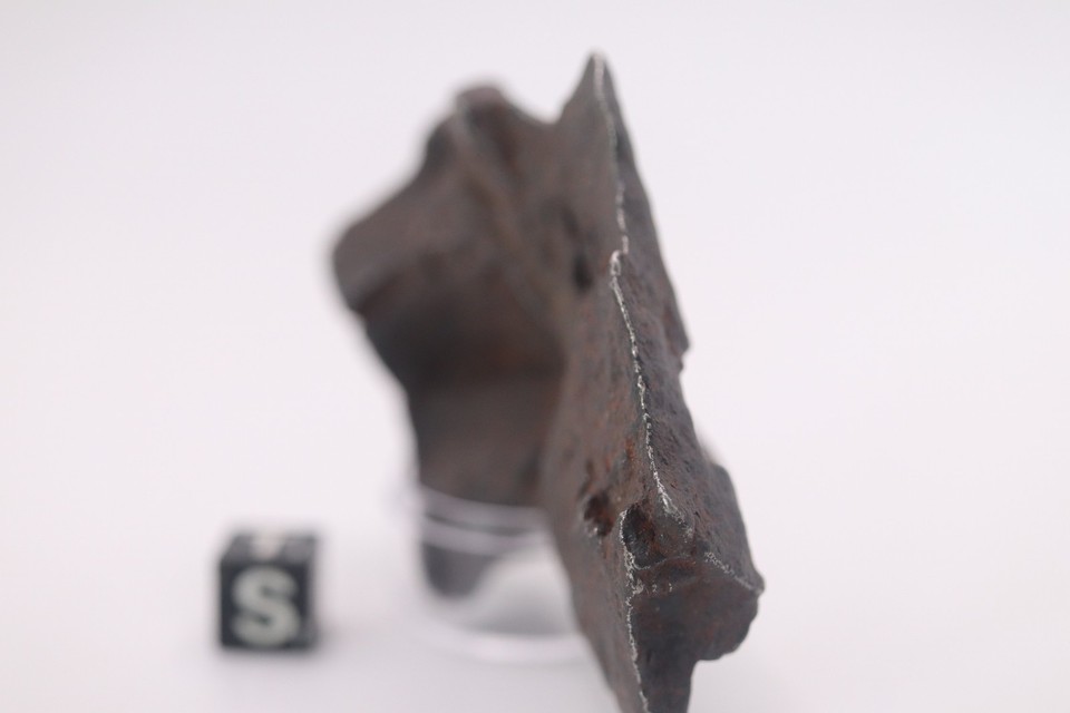 Agoudal iron meteorite 185.8 grams 2.75 inch nice piece! Sculpted ...