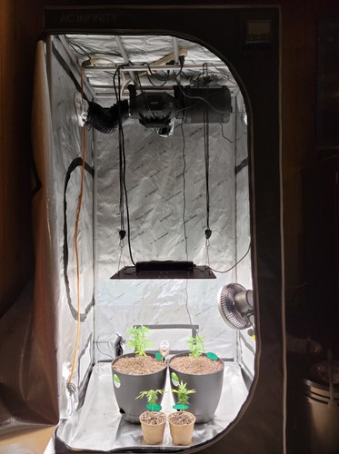 AC Infinity Advance Grow System 3x3, 3-Plant Kit Grow Tent Kit ...
