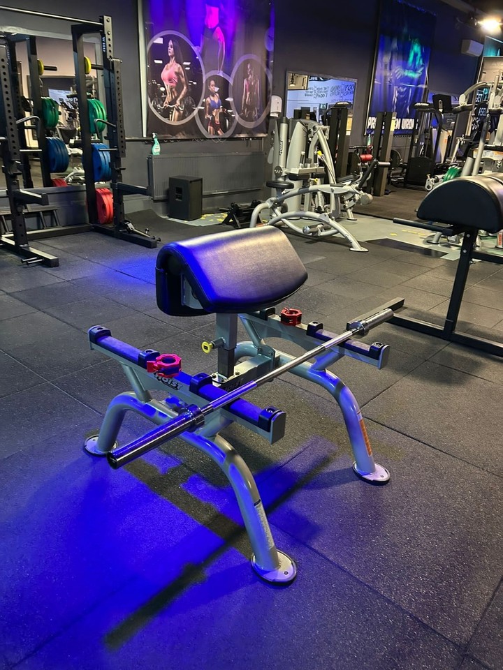 Hoist Standing Preacher Curl (Not Hammer Strength/Panatta/Life Fitness ...