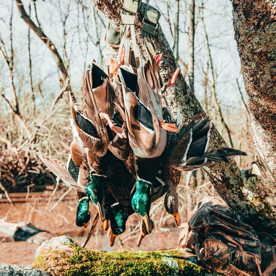 6oz 48''-72'' Texas Rig, Texas Style Duck Decoy Anchor Weight Rig Lines ...