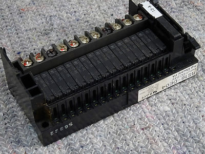 FUJI ELECTRIC RS16-DE04 TERMINAL RELAY MODULE 24VDC | eBay