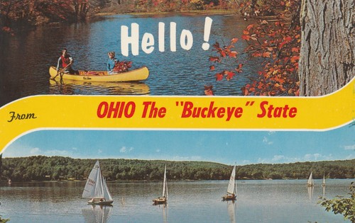 AK Hello from Ohio, the "Buckeye" State | eBay.de