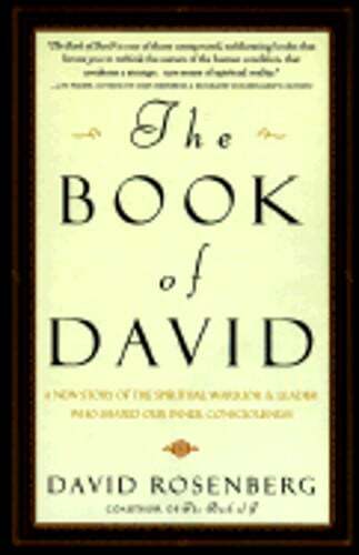 The Book of David: A New Story of the Spiritual Warrior and Leader Who ...