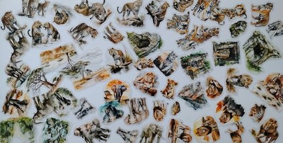 45 pieces Translucent PET Stickers Animals Theme | eBay