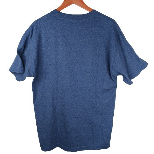 Women's Funny Humor T-Shirt Tee ALSTYLE APPAREL Kitty Lion Size L Large ...