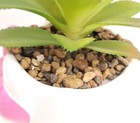 Sanrio Hello Kitty Face 3-Inch Ceramic Mini Planter With Artificial ...
