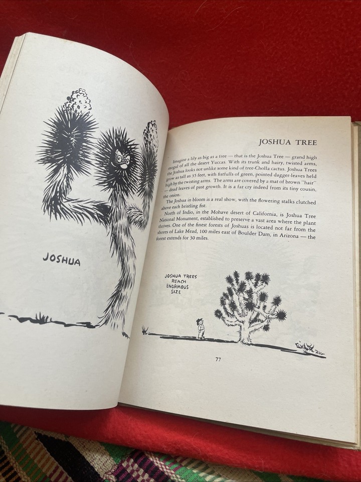 1945 Illustrated What Kinda Cactus Izzat? Reg Manning HC | eBay