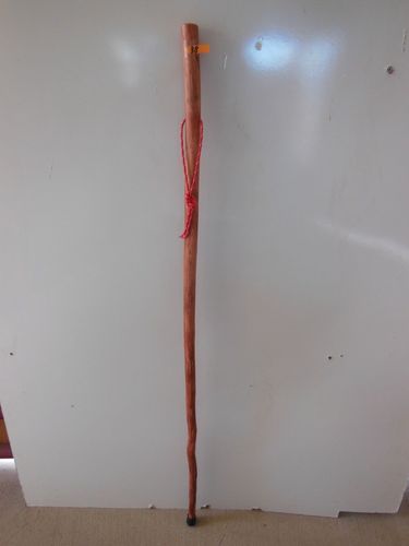 HIKING/WALKING STICK MADE FROM NEW MEXICO YUCCA PLANT FLOWER STALK ...