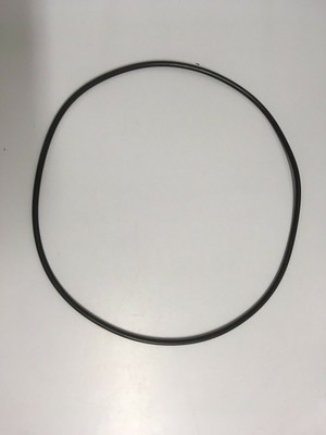 Astral ZX Cartridge Filter Oring suits ZX200 Lid Oring | eBay