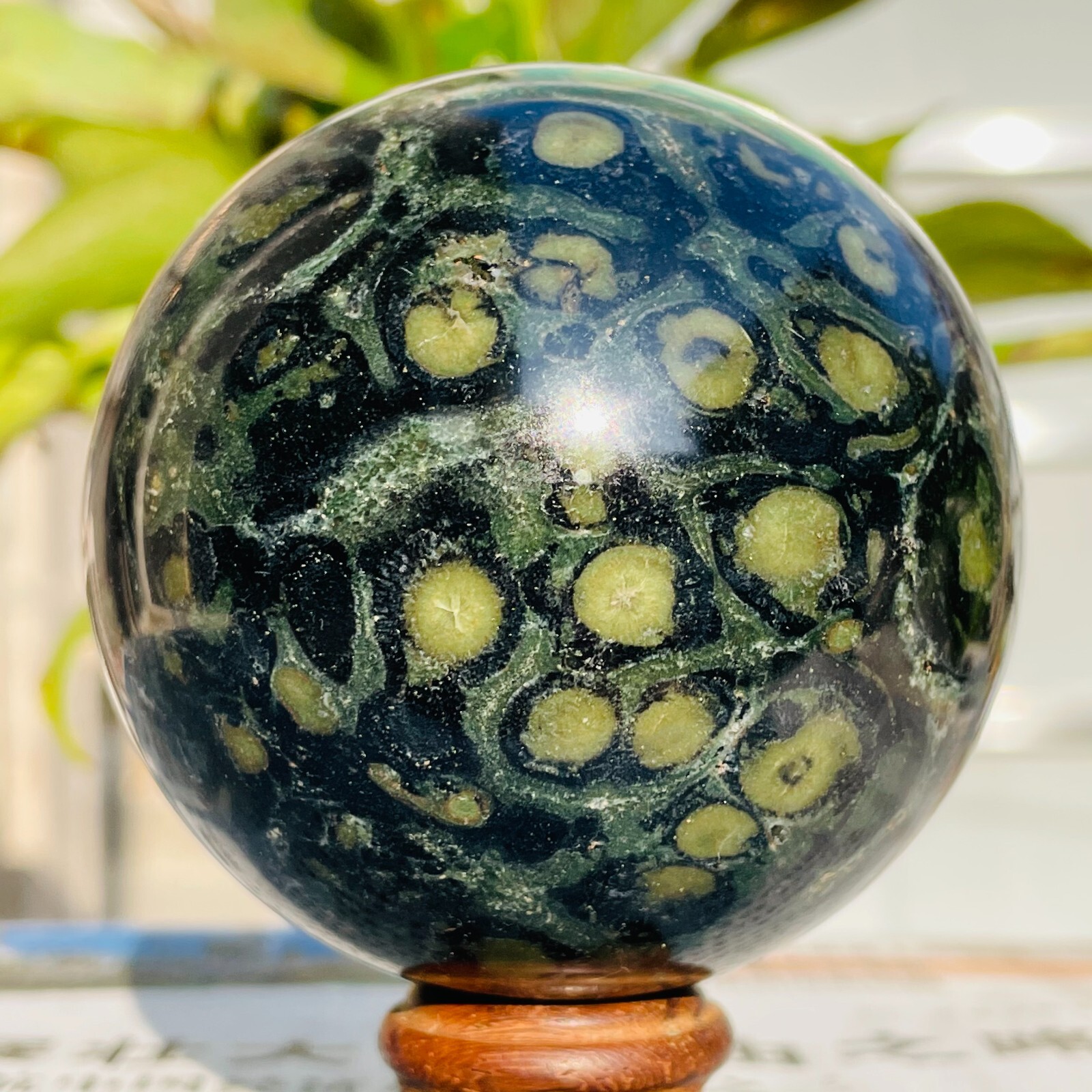 576g Natural Kabamba Jasper Crystal Sphere Kambaba Rock Gemstone ...