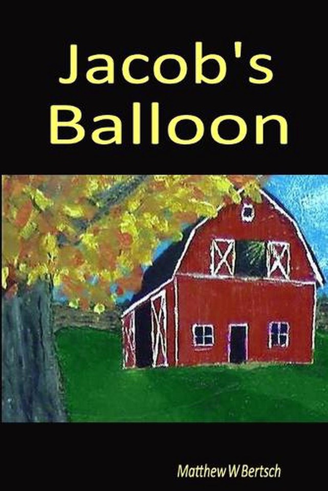 Jacob's Balloon by Matthew W. Bertsch Paperback Book | eBay