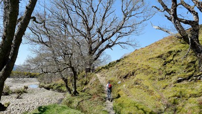 Photo 12x8 Skellarie Plantation Kirkinner View of the plantation from ...