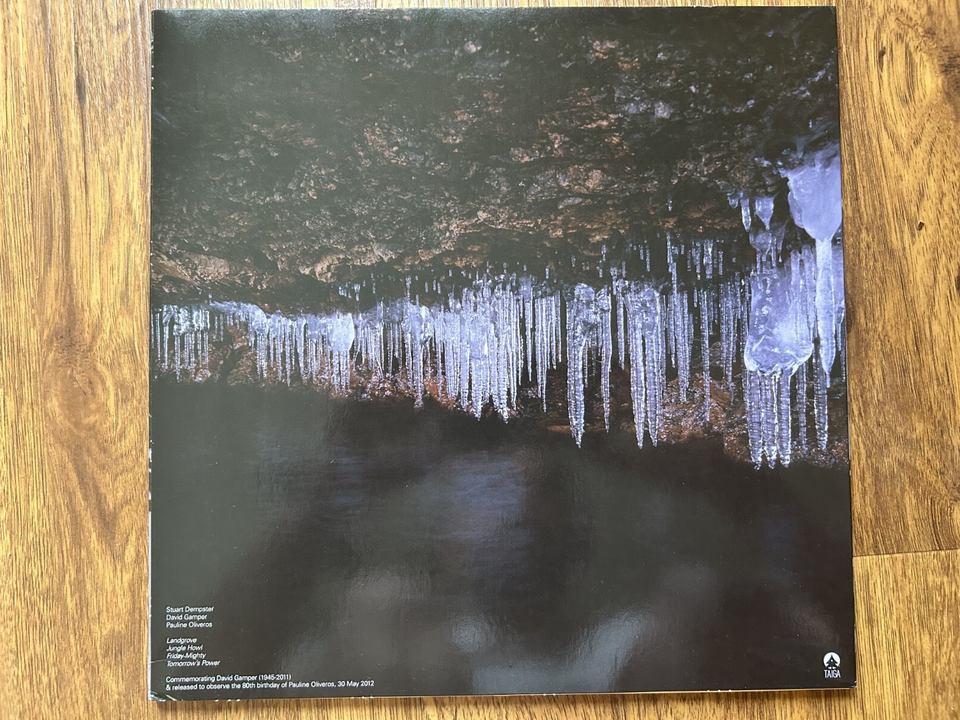 Deep Listening Band: Needle Drop Jungle 2xLP [Taiga, TAIGA21] Oliveros ...