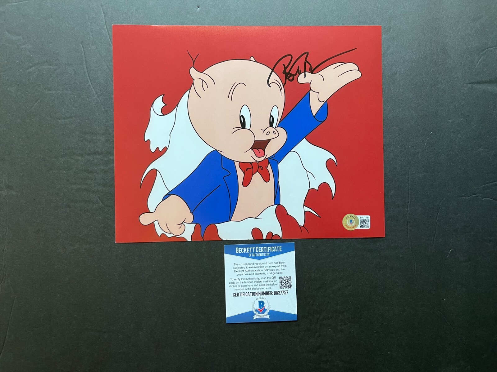 Bob Bergen Rare! signed autographed Porky the Pig 8x10 photo Beckett ...