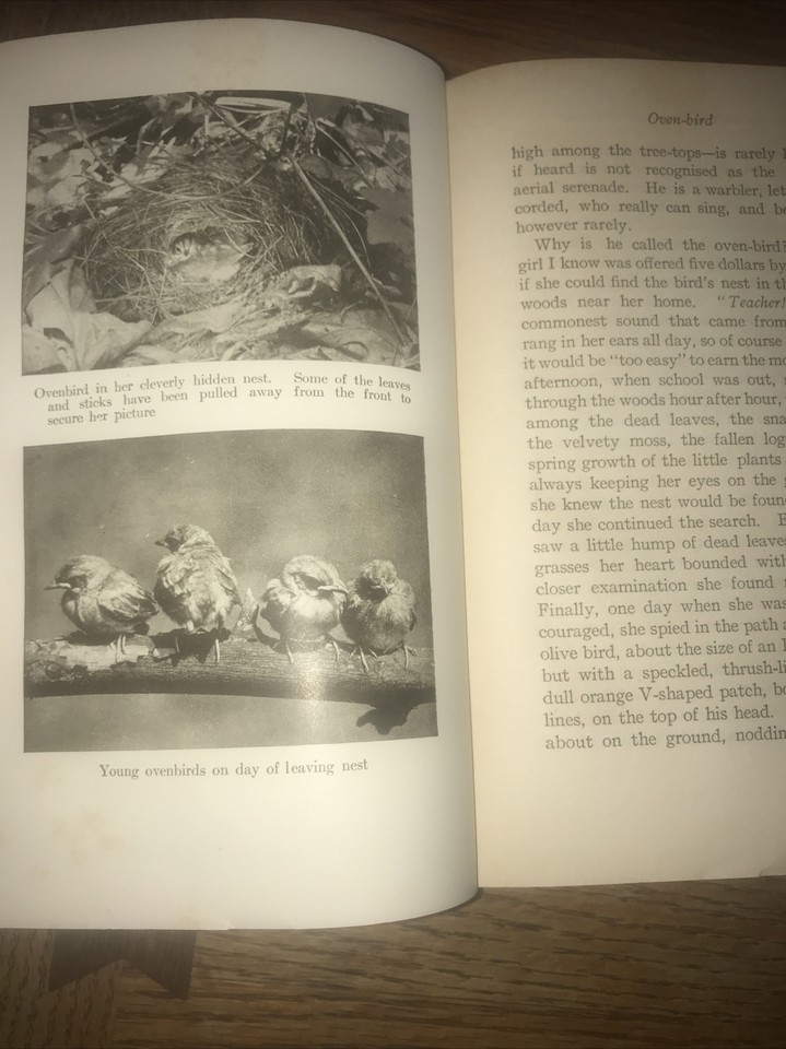 Book, Birds that every Child should Know, Neltje Blanchan hard copy ...
