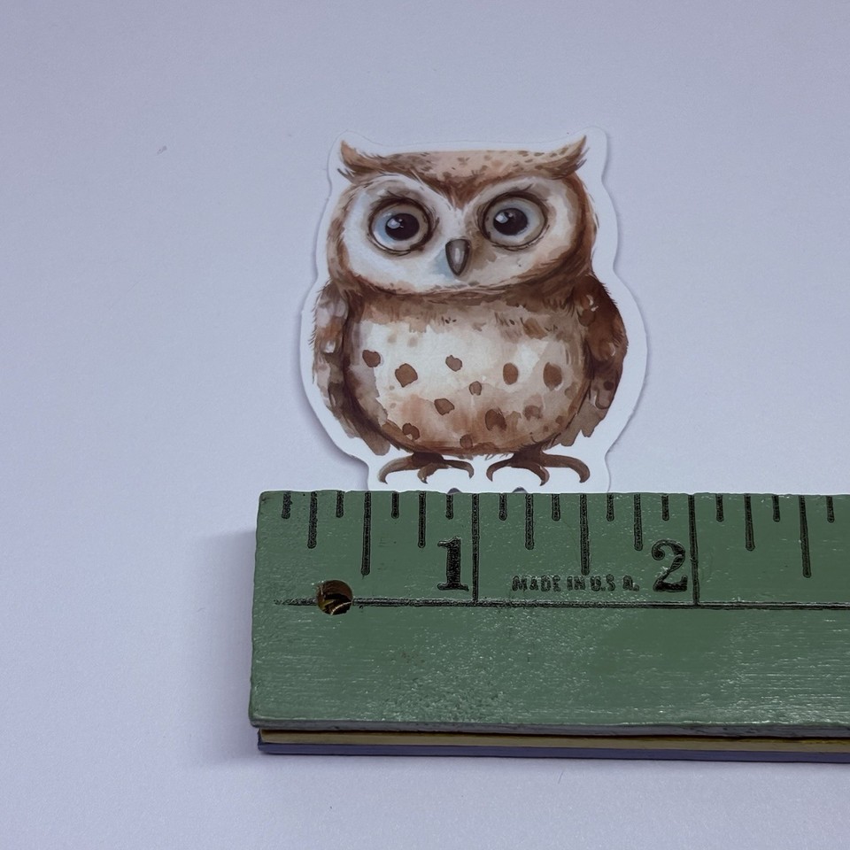 Cute Baby Owl Animal Sticker Vinyl Decal Journal Wall Fun Art Decor Tc9 ...