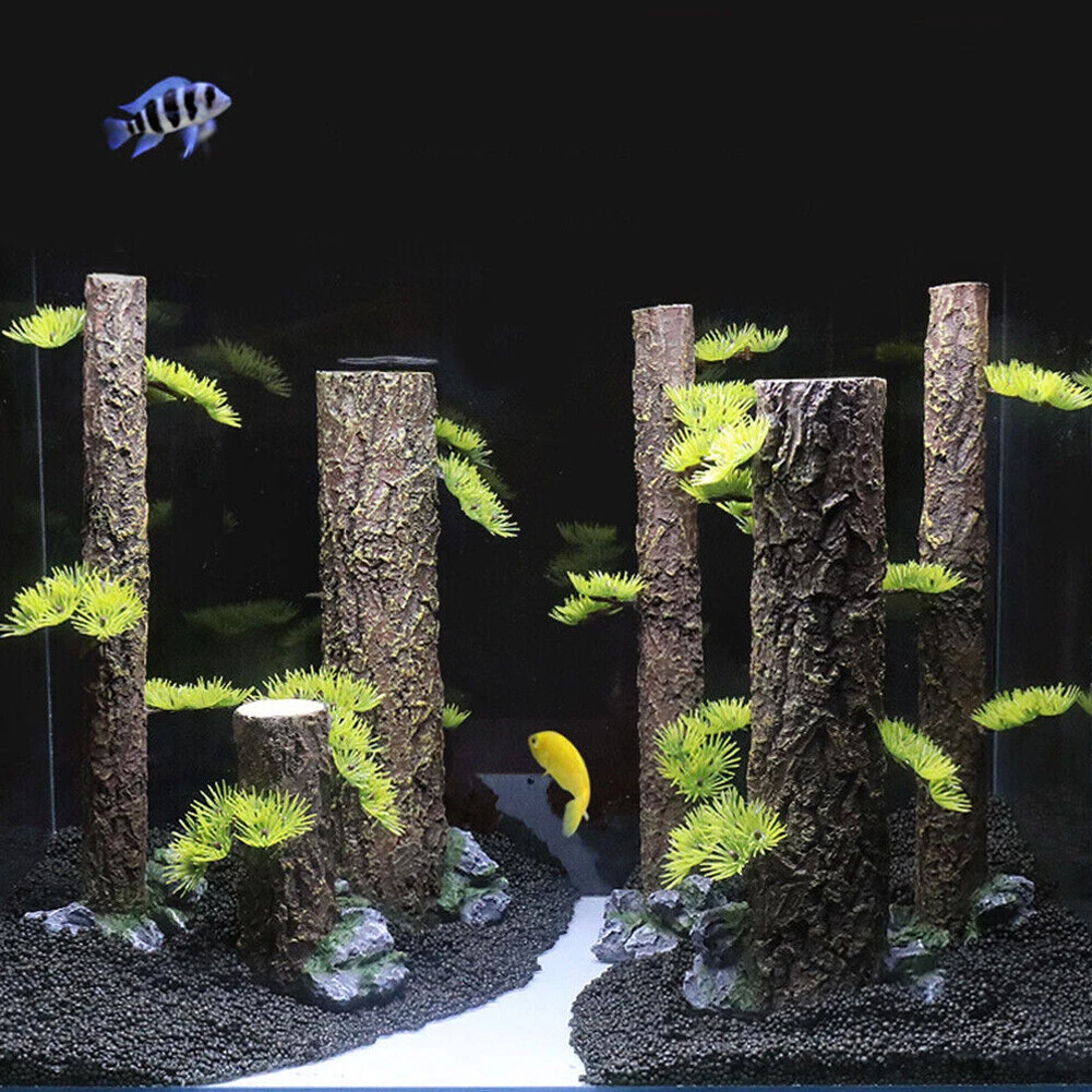 Planted Tank Forest