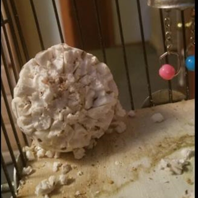 3Pcs Bird Shreddable Sola Balls Parrot Foraging Toy Natural Material ...