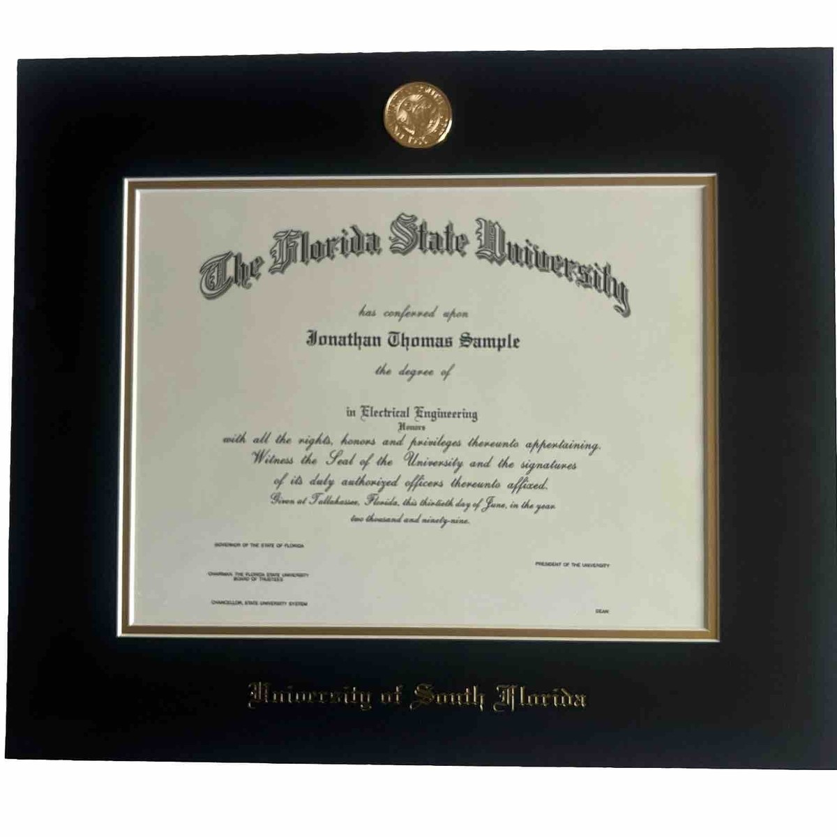 University Of South Florida Diploma Received Business Analytics