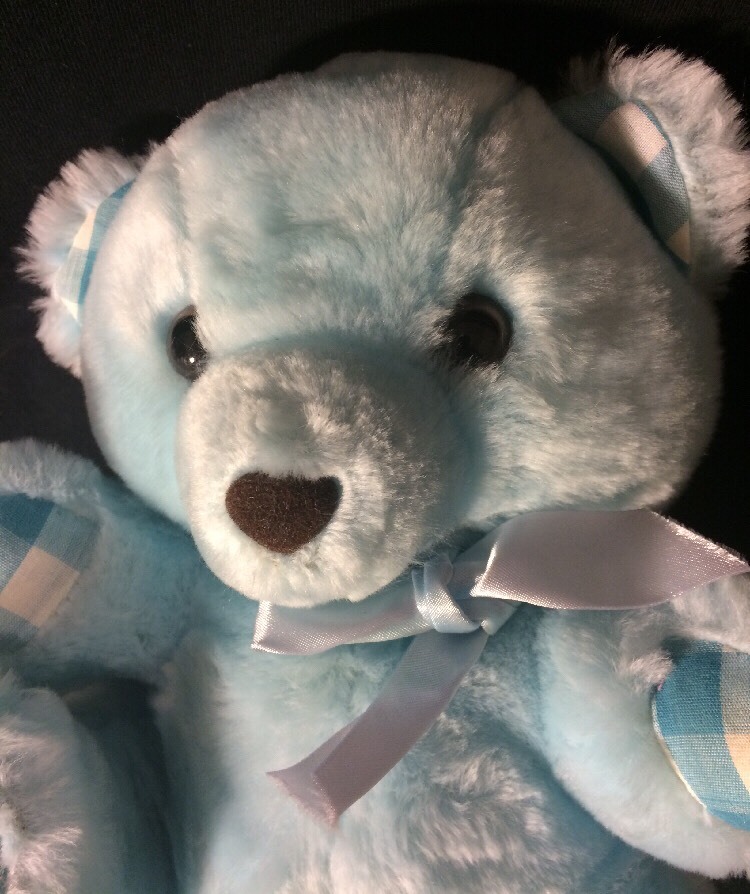 Walmart Plush Stuffed Blue Teddy Bear