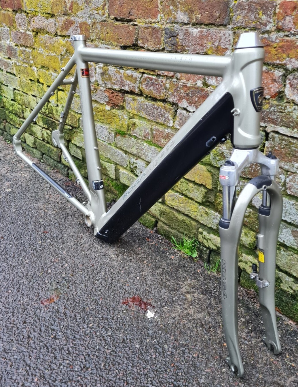 Koga Miyata Tesla Electric Bike Frame & Forks/Electric Bike/Hub Brake ...